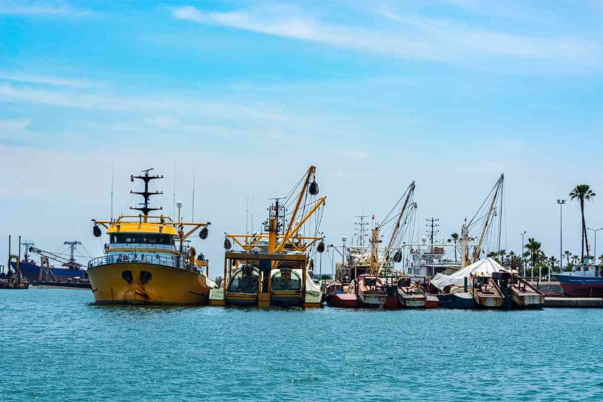 23 Best & Fun Things to Do in Denton (TX)