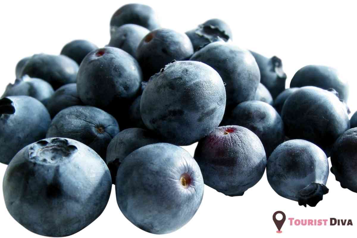 25 Fun Things to Do in Mishawaka (Indiana)