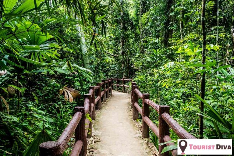 21 Best & Fun Things to Do in Gig Harbor (WA)