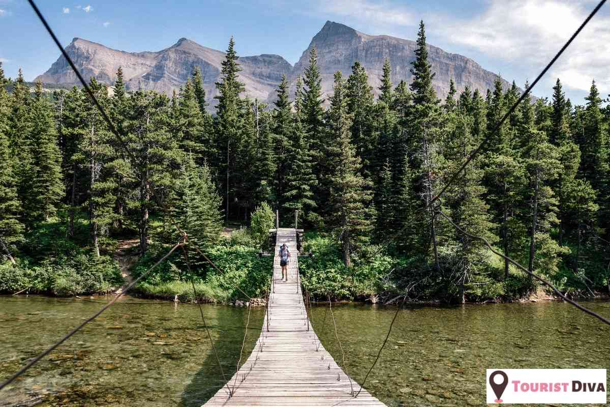 21 Best & Fun Things to Do in Kalispell (MT)