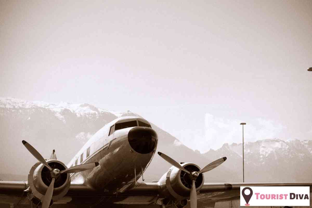 21 Best & Fun Things to Do in Tyler (TX)