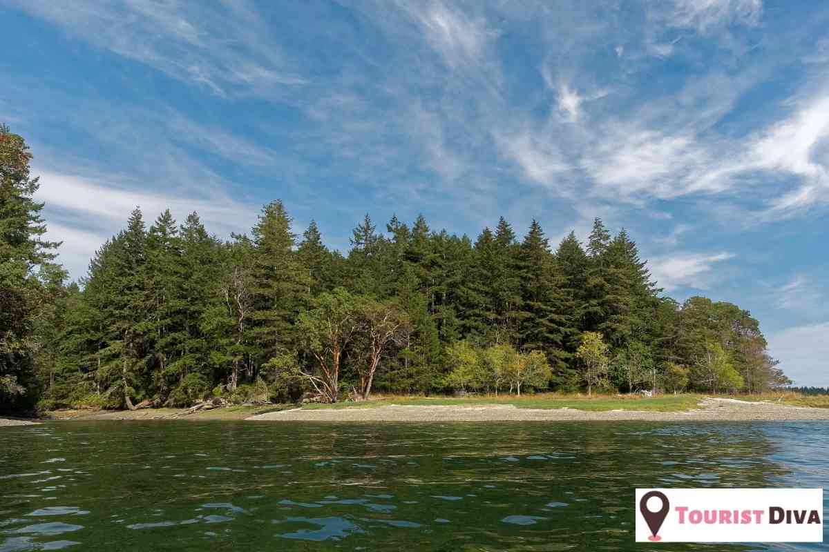 21 Best & Fun Things to Do in La Conner (WA)