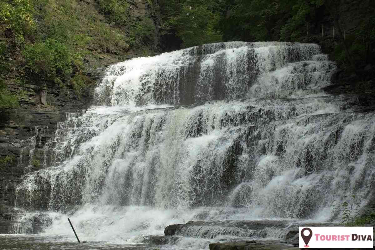 21 Best & Fun Things to Do in Ithaca (NY)