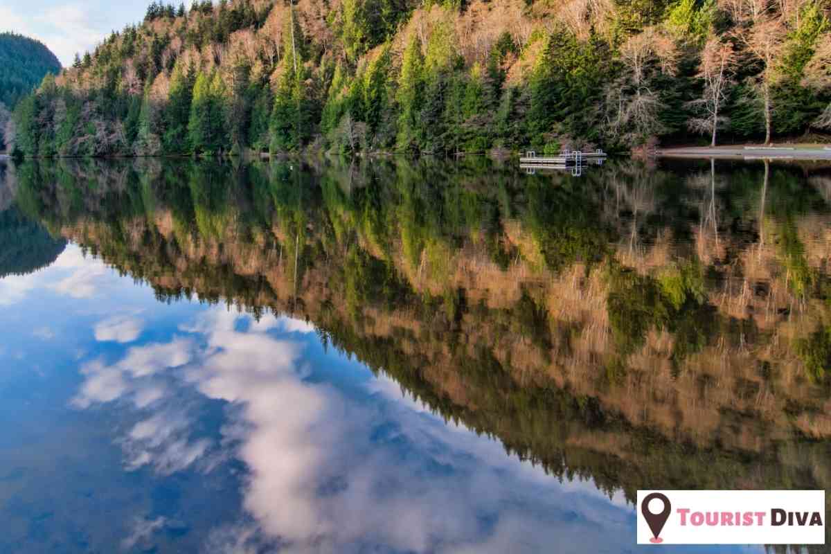 21 Best & Fun Things to Do in Gainesville (FL)