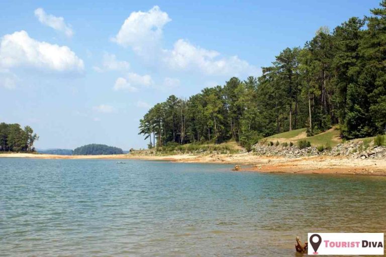 21 Best & Fun Things to Do In Buford (GA)