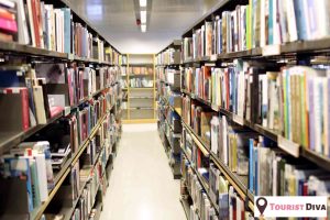 21 Best & Fun Things to Do in Montclair (NJ)