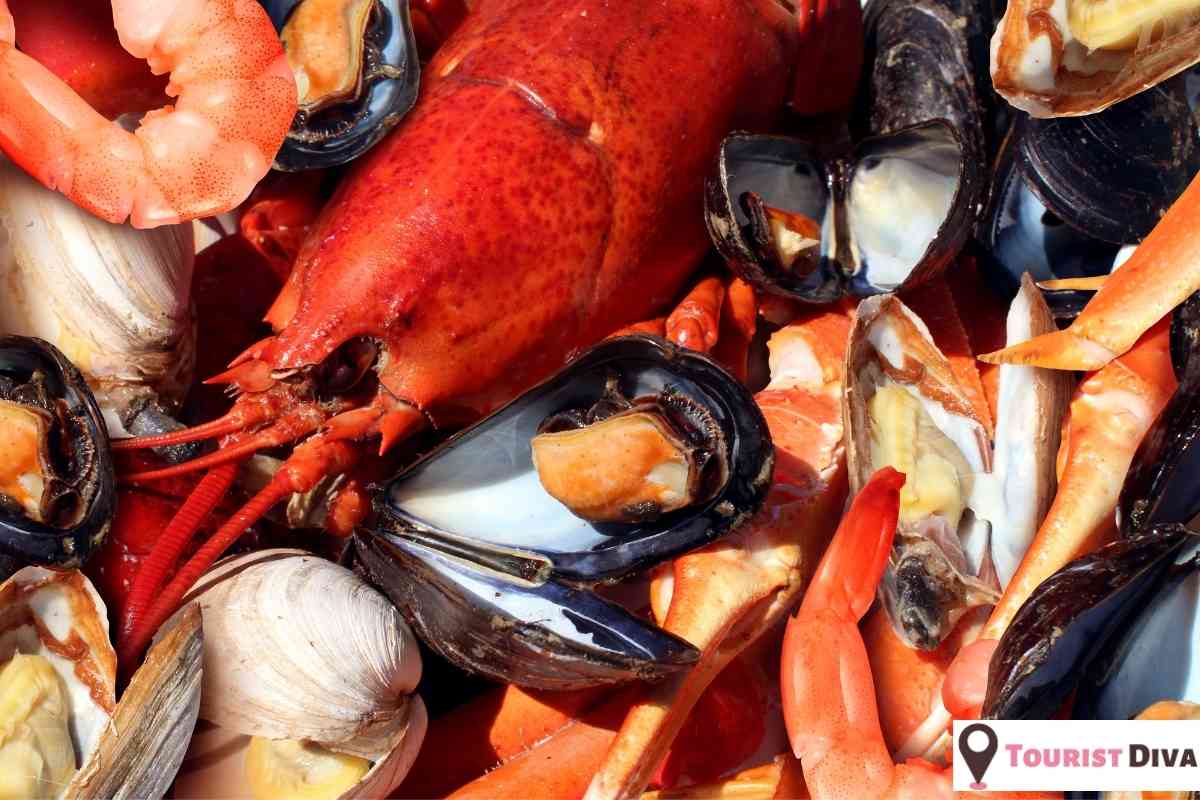 21 Fun Things to Do in Tillamook (OR)