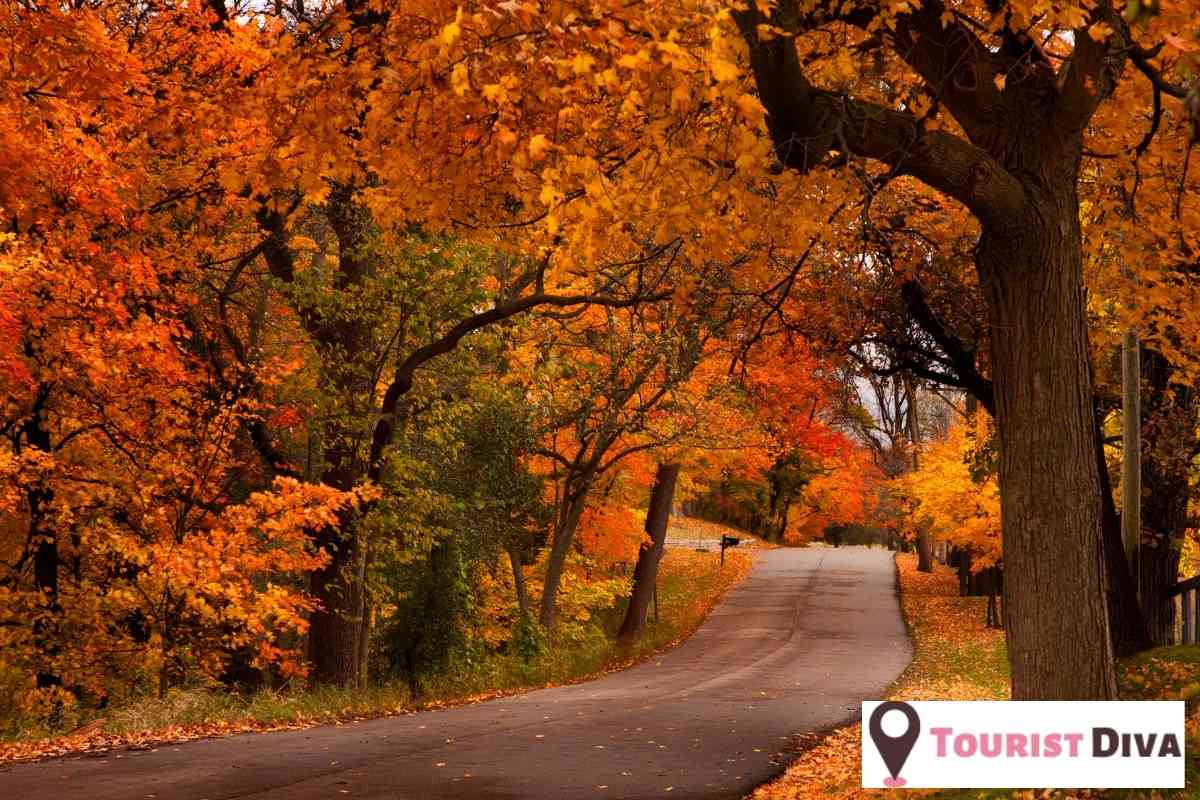 21 Best & Fun Things to Do in Findlay (Ohio)