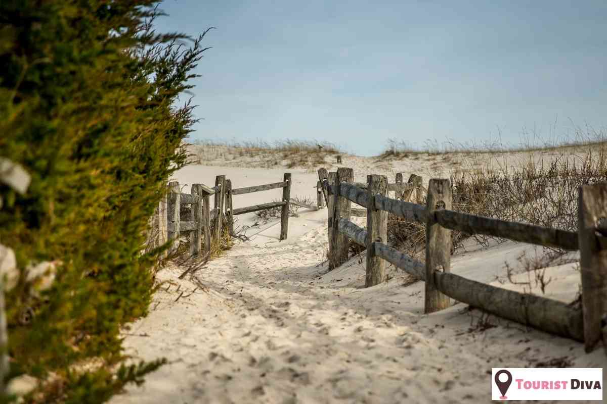 21 Best & Fun Things to Do in Manistee (MI)