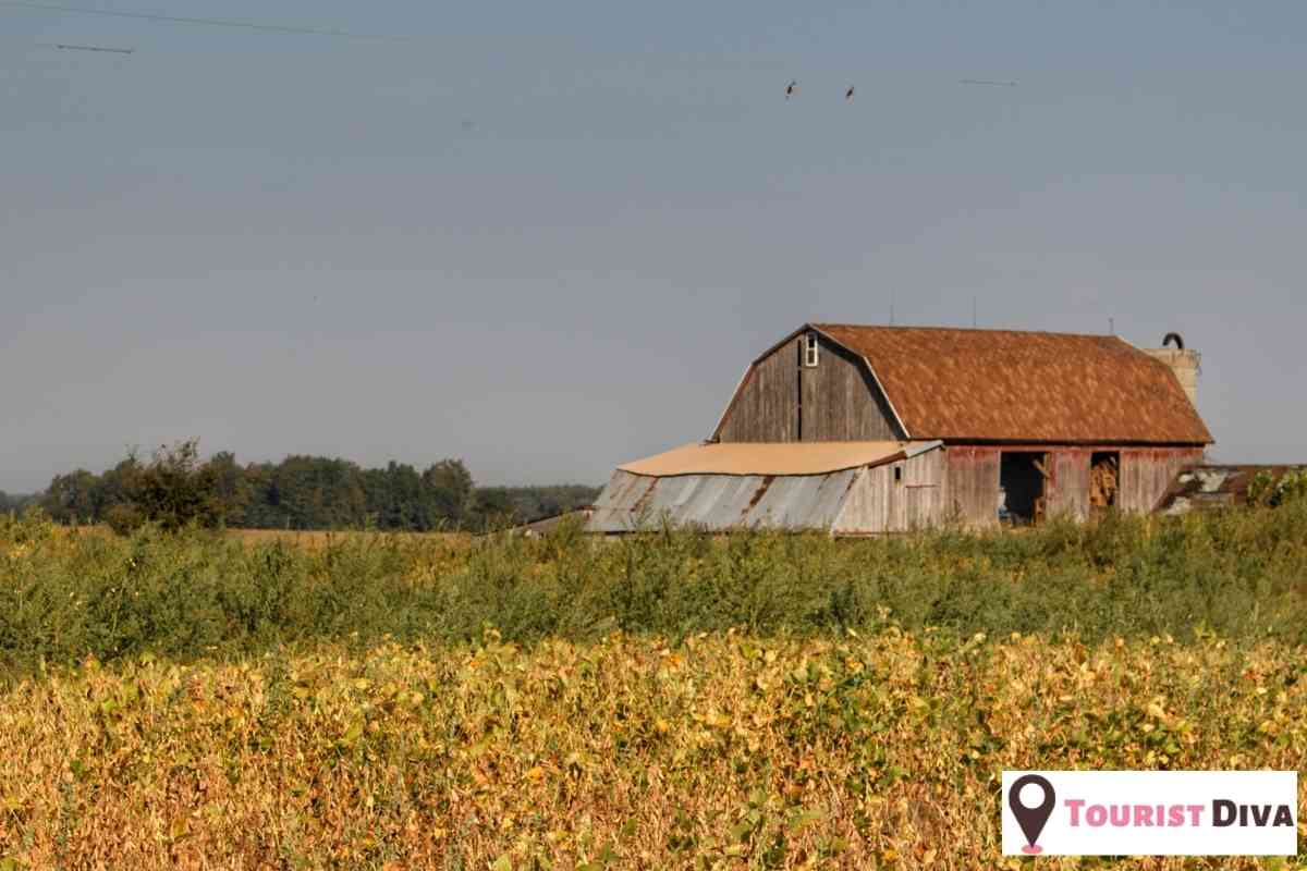 21 Best & Fun Things to Do in Concord (MA)