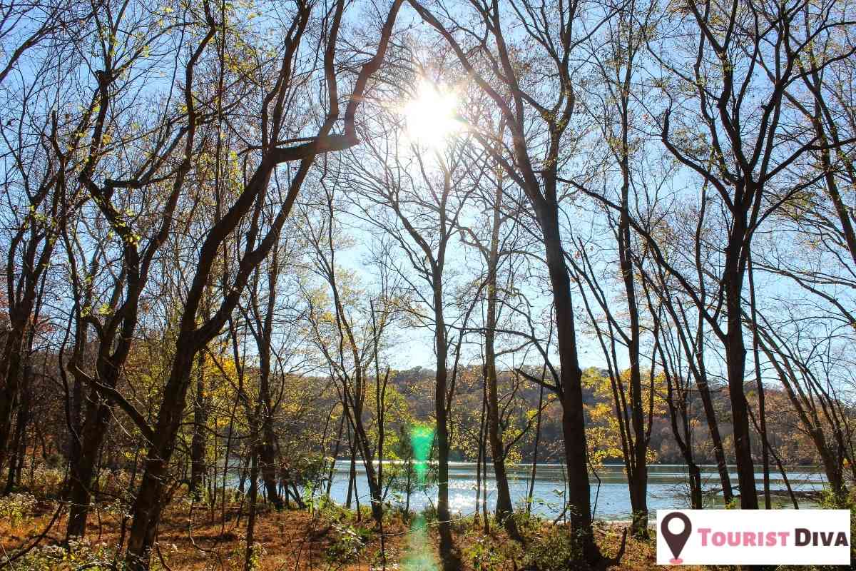 21 Best & Fun Things to Do in Helena, MT