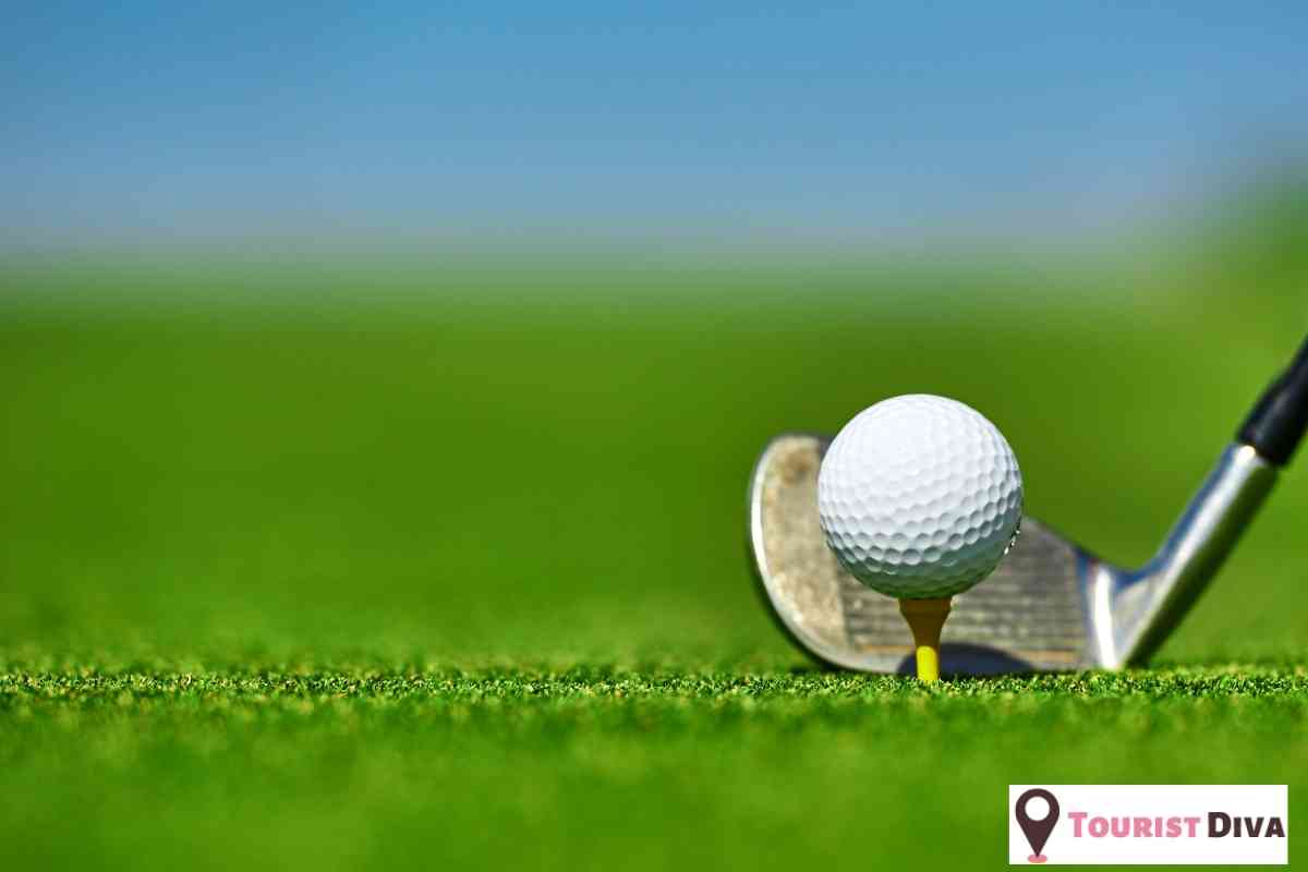 21 Best & Fun Things to Do in Dawsonville (GA)