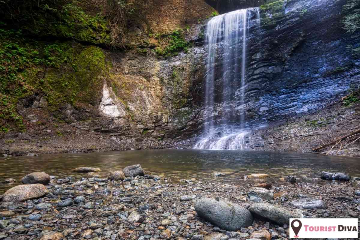 21 Fun Things to Do In Nanaimo (BC)