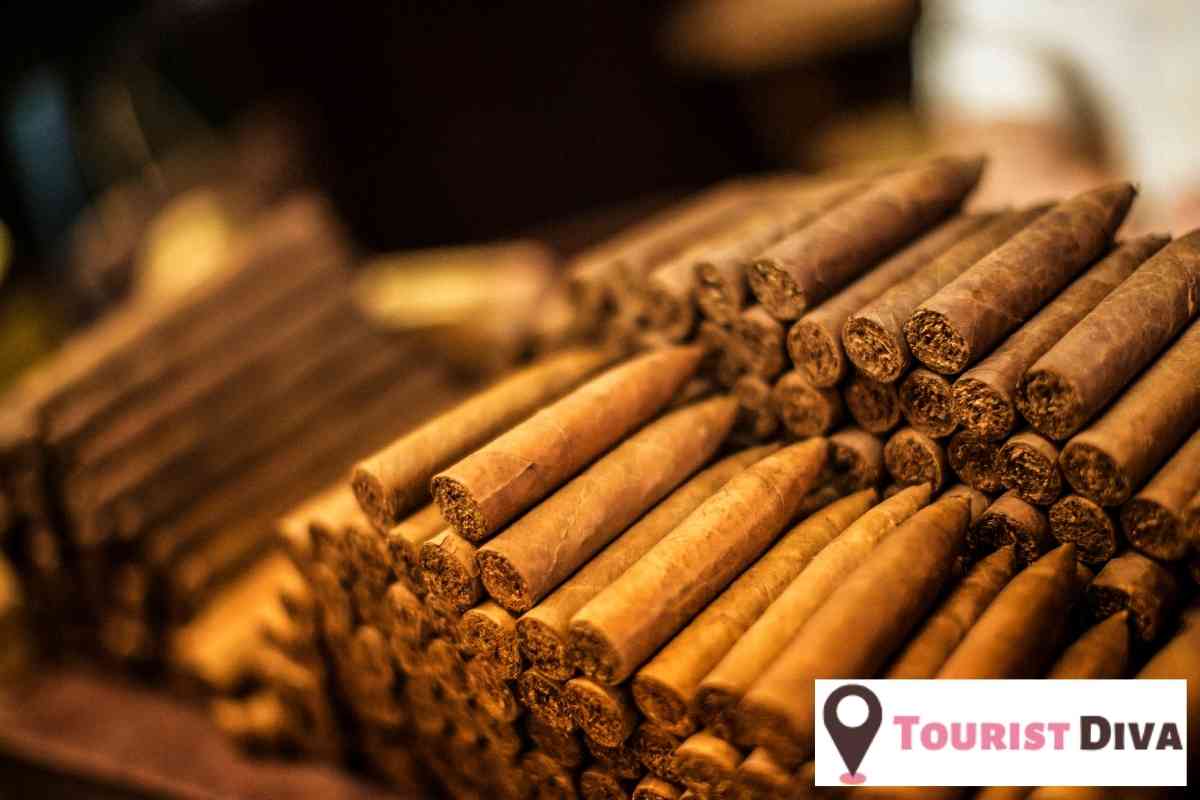 21 Fun Things to Do In La Romana