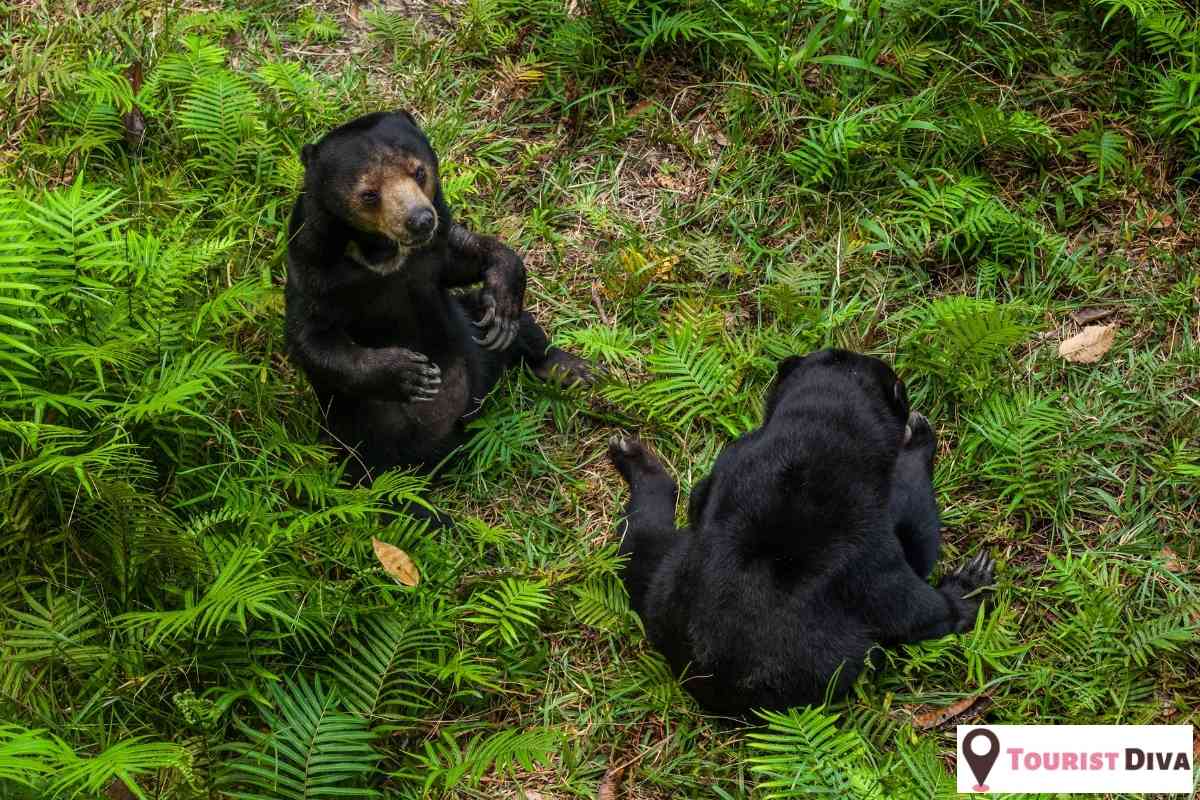 21 Best & Fun Things to Do in Burlington (NC)