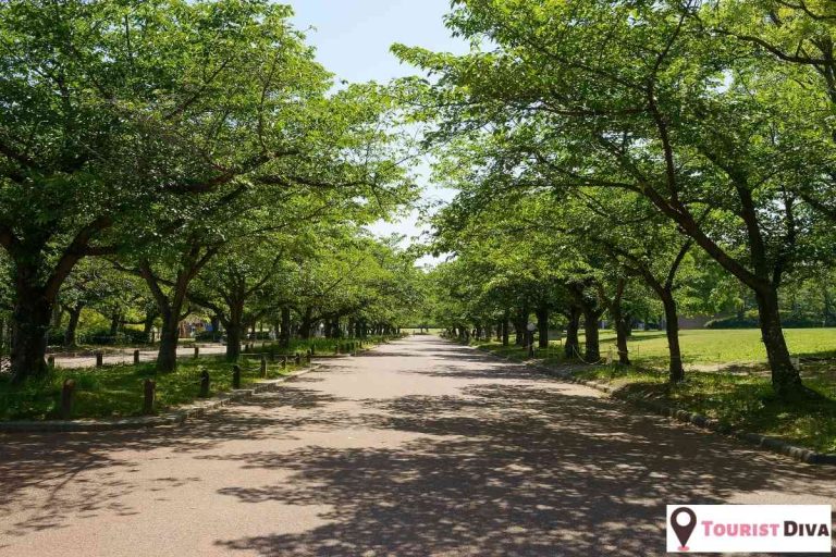 21 Fun Things to Do in Burlington (Iowa)