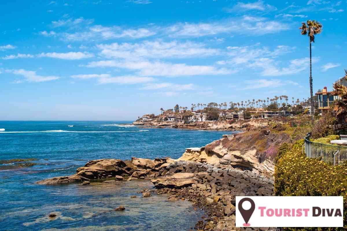 21 Fun Things to Do In La Jolla (CA)