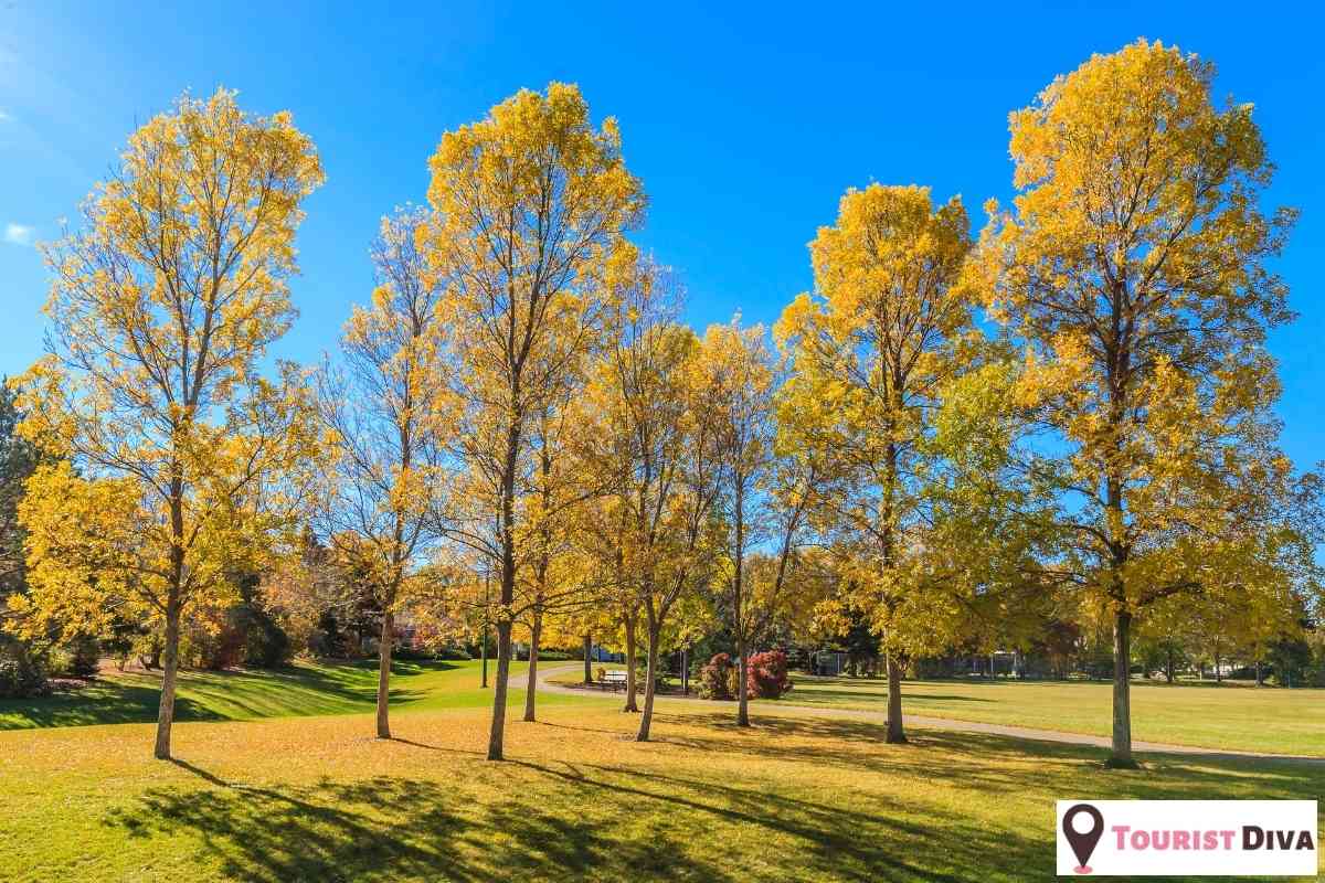 25 Fun Things to Do in Mishawaka (Indiana)