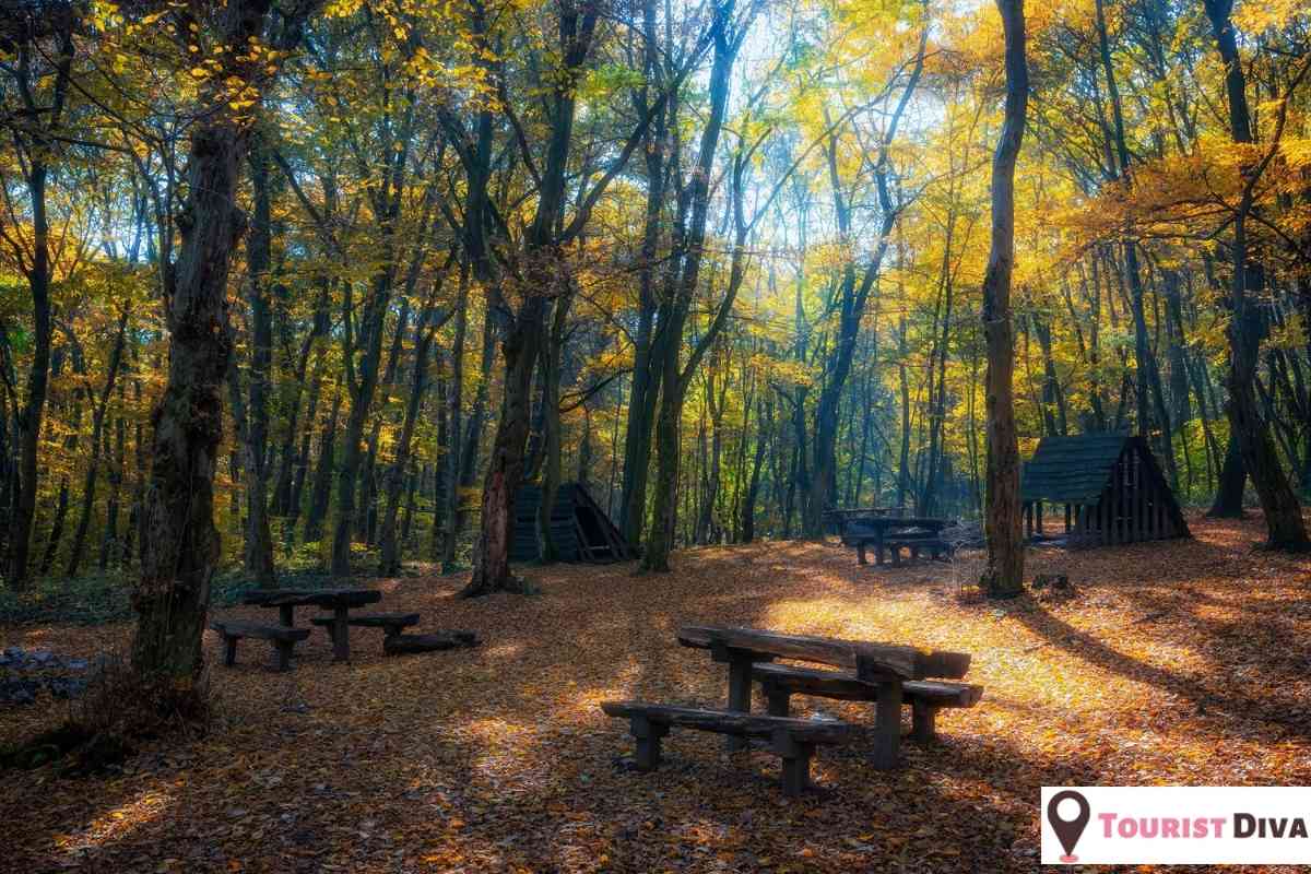 21 Fun Things to Do in Ucluelet (BC)