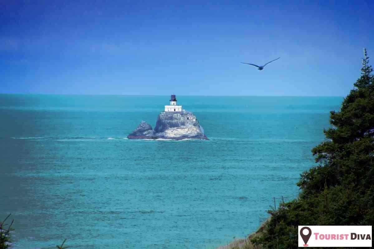 21 Fun Things to Do in Tillamook (OR)