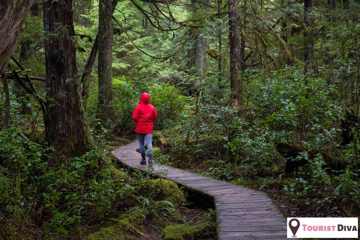21 Fun Things to Do in Tofino (BC)