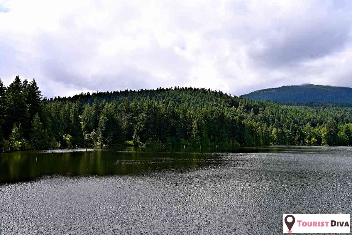 21 Fun Things to Do In Nanaimo (BC)