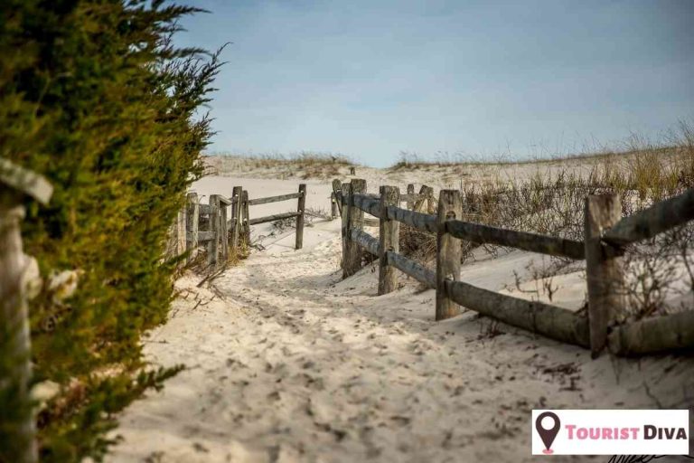 21 Fun Things to Do in Kitsap County (WA)