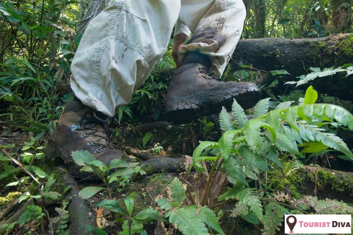 21 Fun Things to Do in Rockwall (TX)