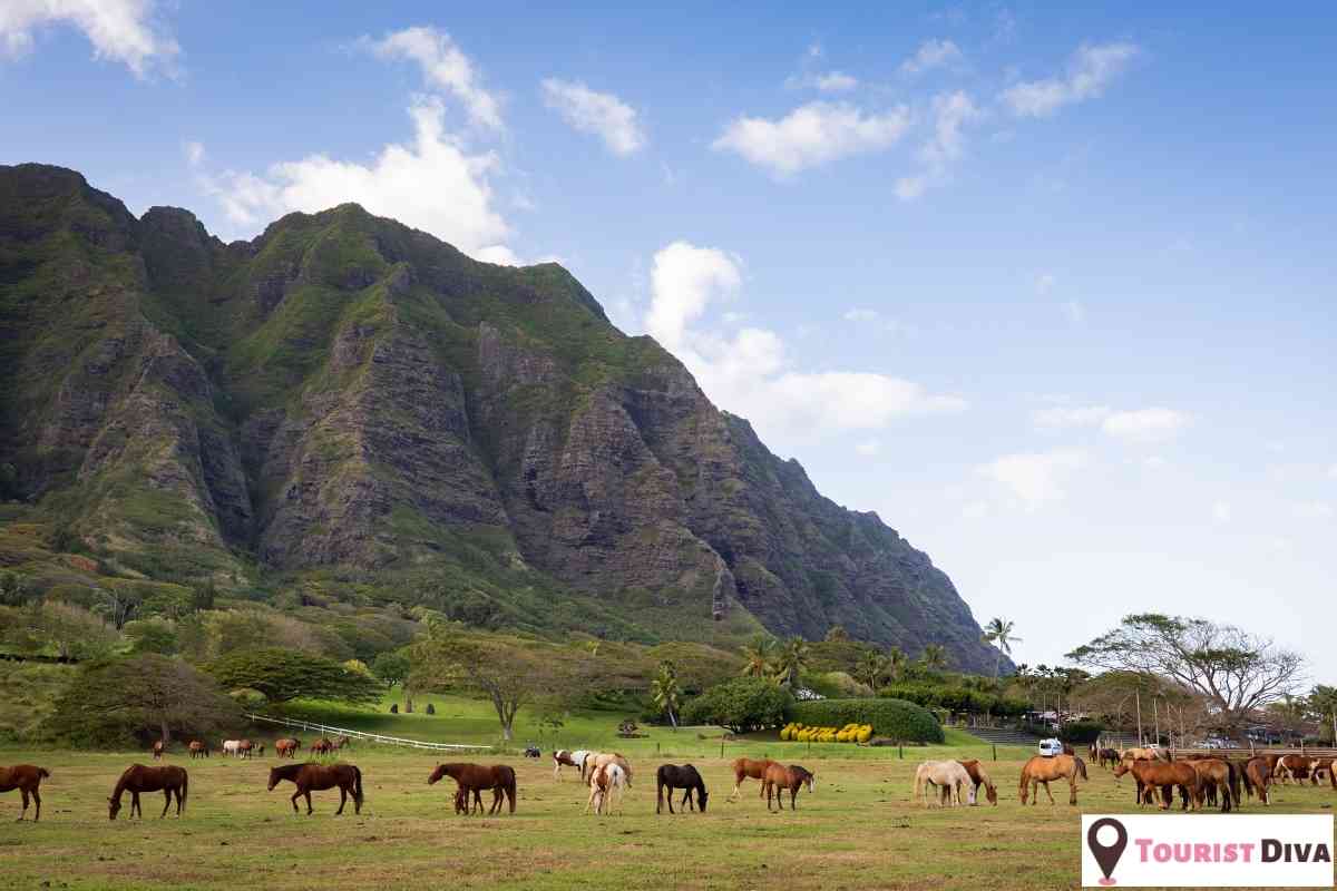 21 Fun Things to Do in Scottsdale (Arizona)