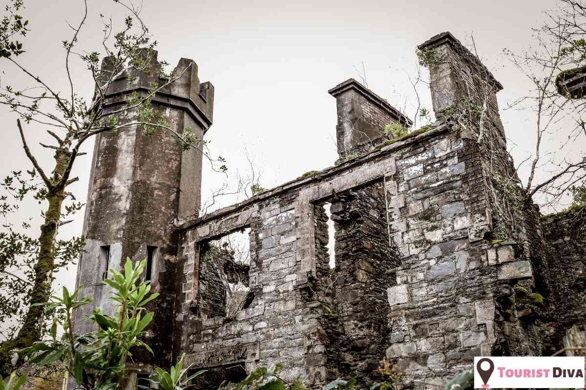 21 Fun Things to Do in Phoenix (Arizona)