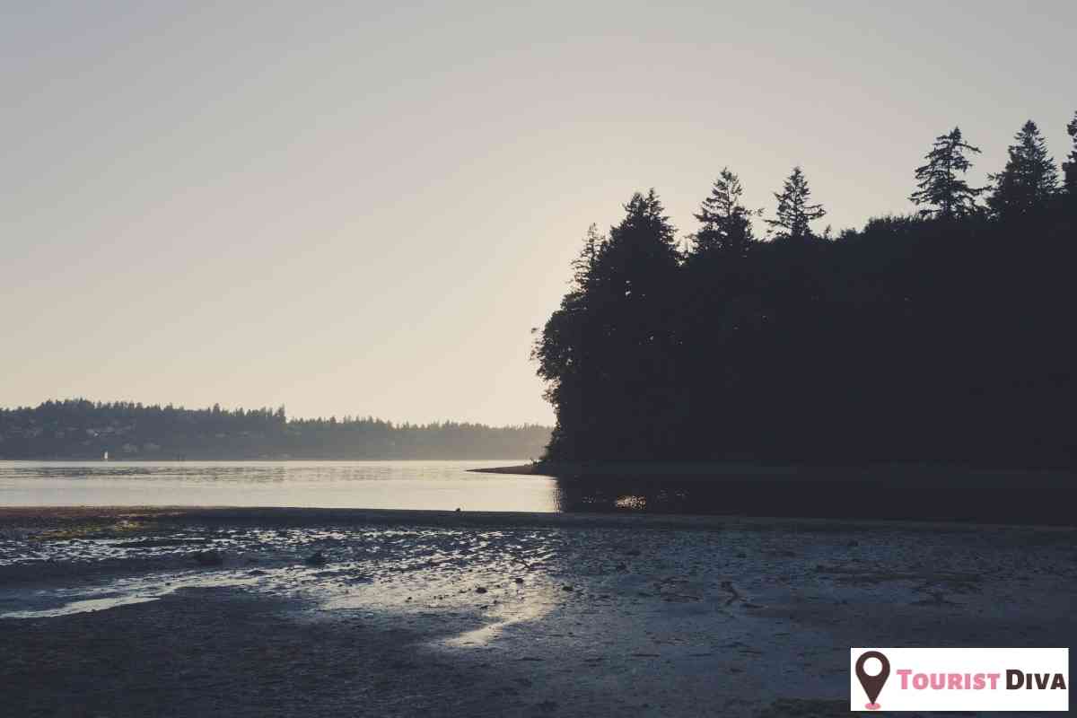 21 Fun Things to Do in Olympia (WA)