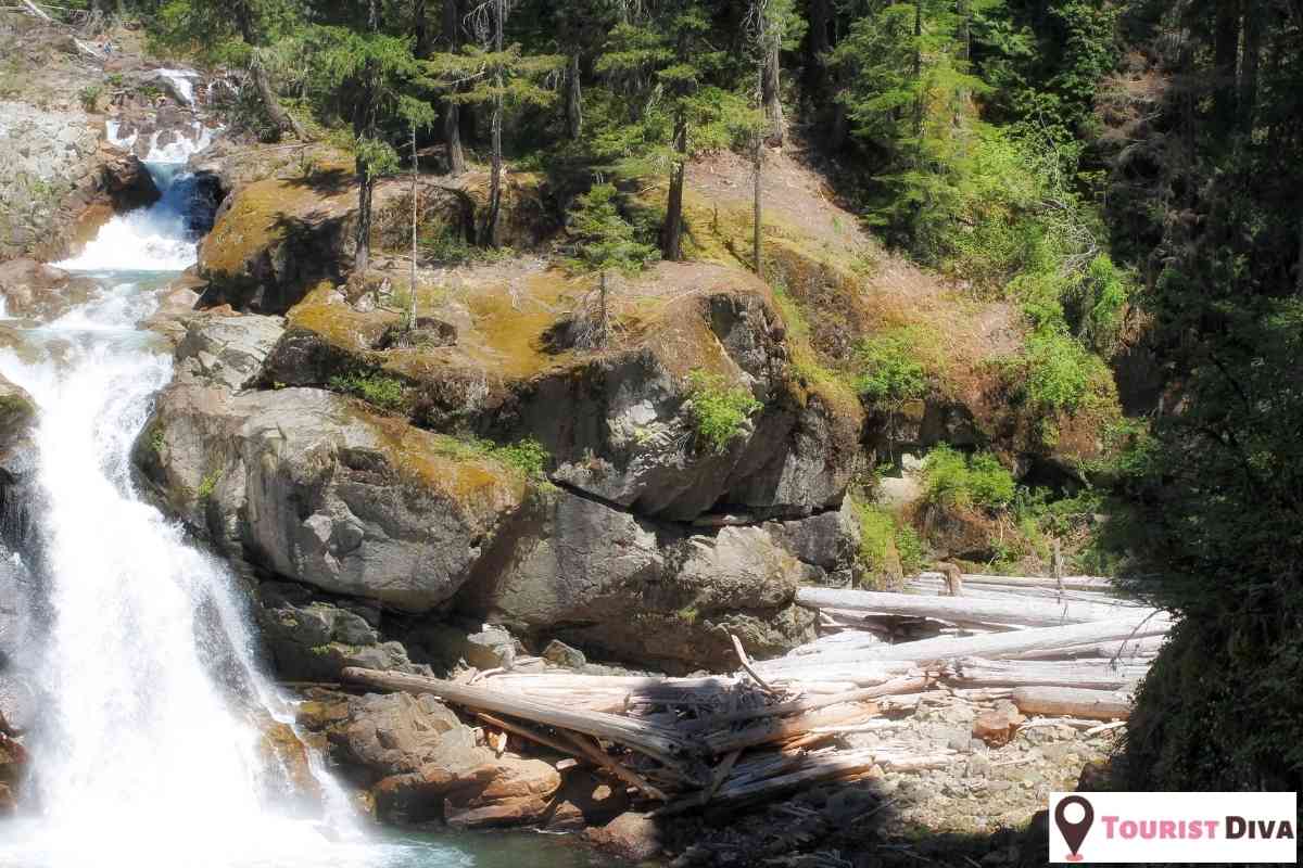 Best Hikes in Mount Rainier National Park