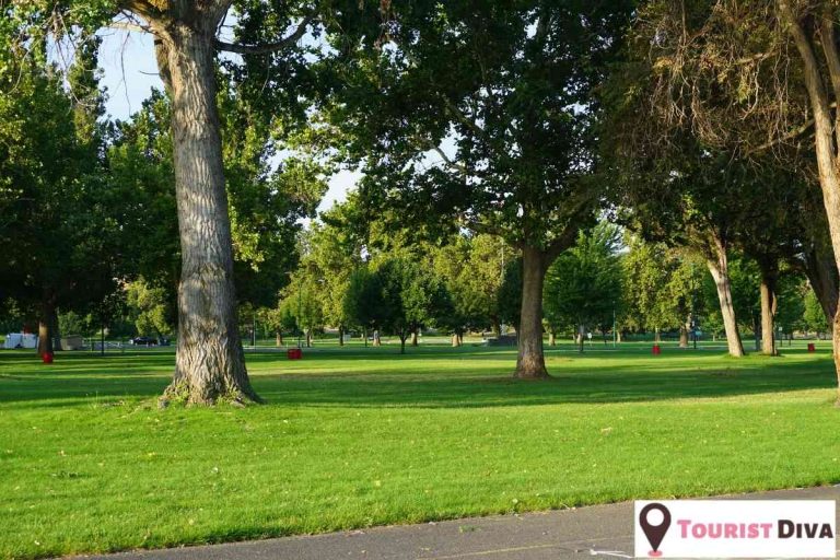 21 Fun Things to Do in Tri-Cities