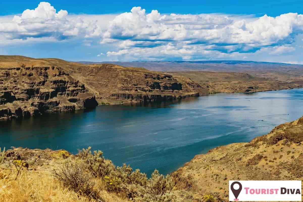 21 Fun Things to Do in Tri-Cities