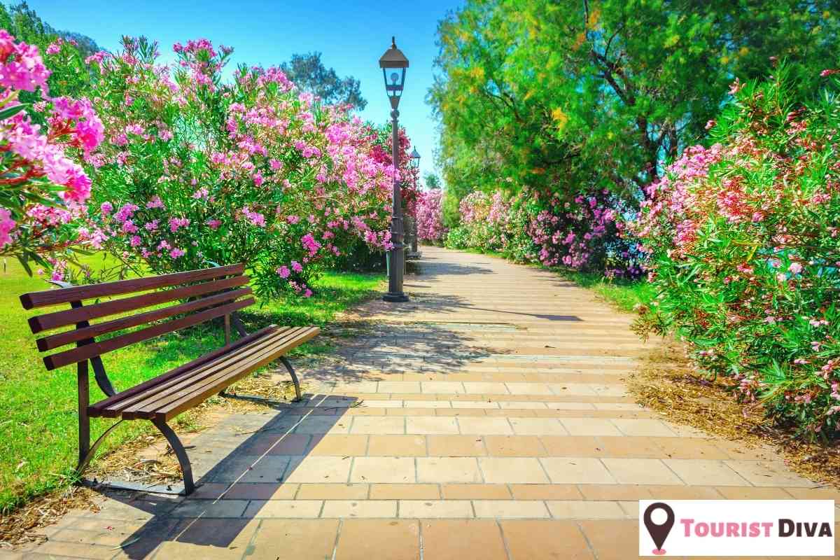 21 Fun Things to Do in Katy (TX)