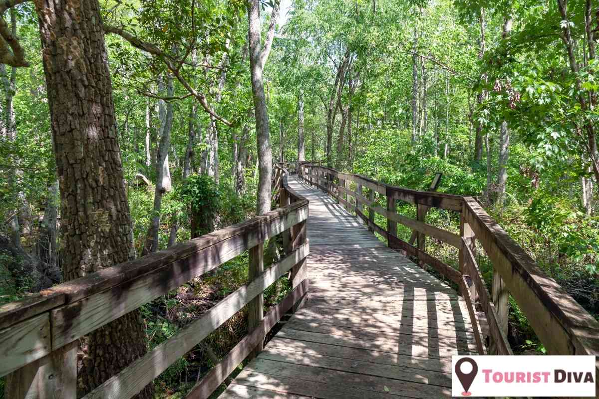 21 Fun Things to Do in Woodbridge (VA)