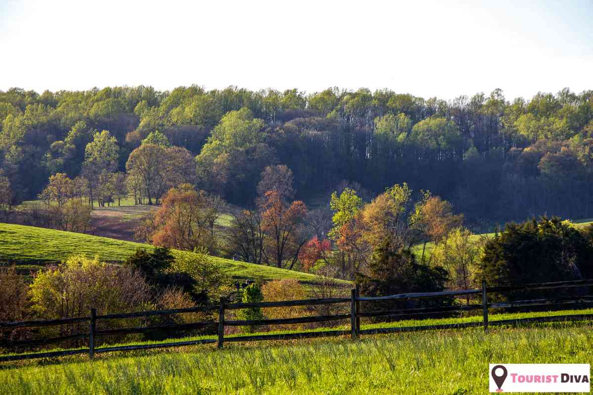 21 Fun Things to Do in Woodbridge (VA)