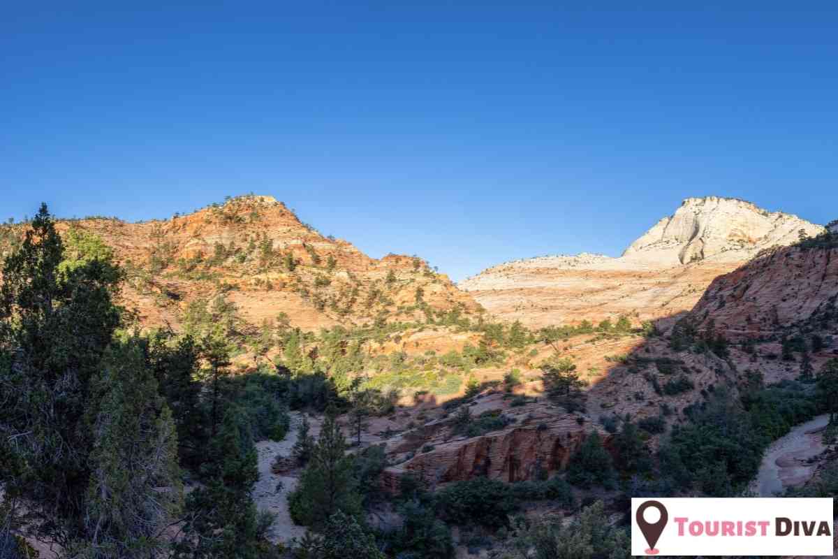 21 Fun Things to Do in Medford (Oregon)