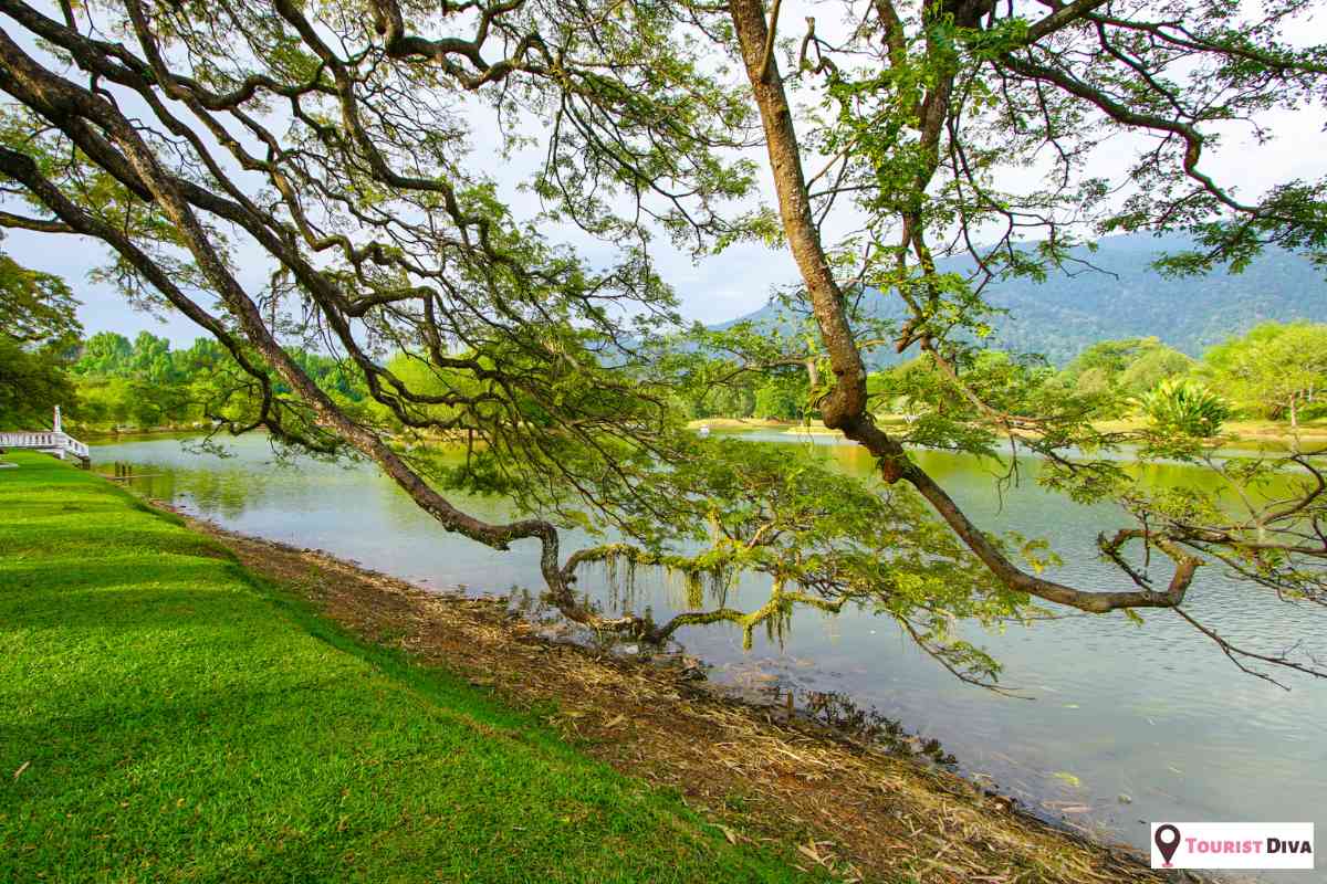 21 Fun Things To Do In Blowing Rock (NC)