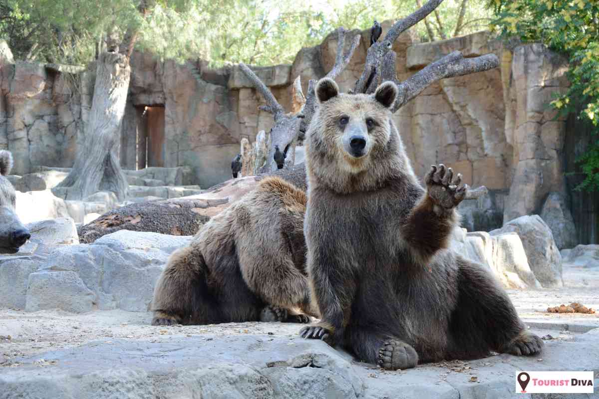 21 Fun Things To Do In Cherokee (NC)