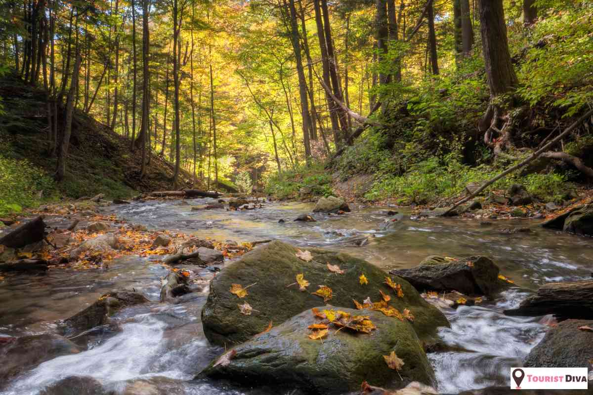 21 Best Trails In The Smoky Mountains (NC)