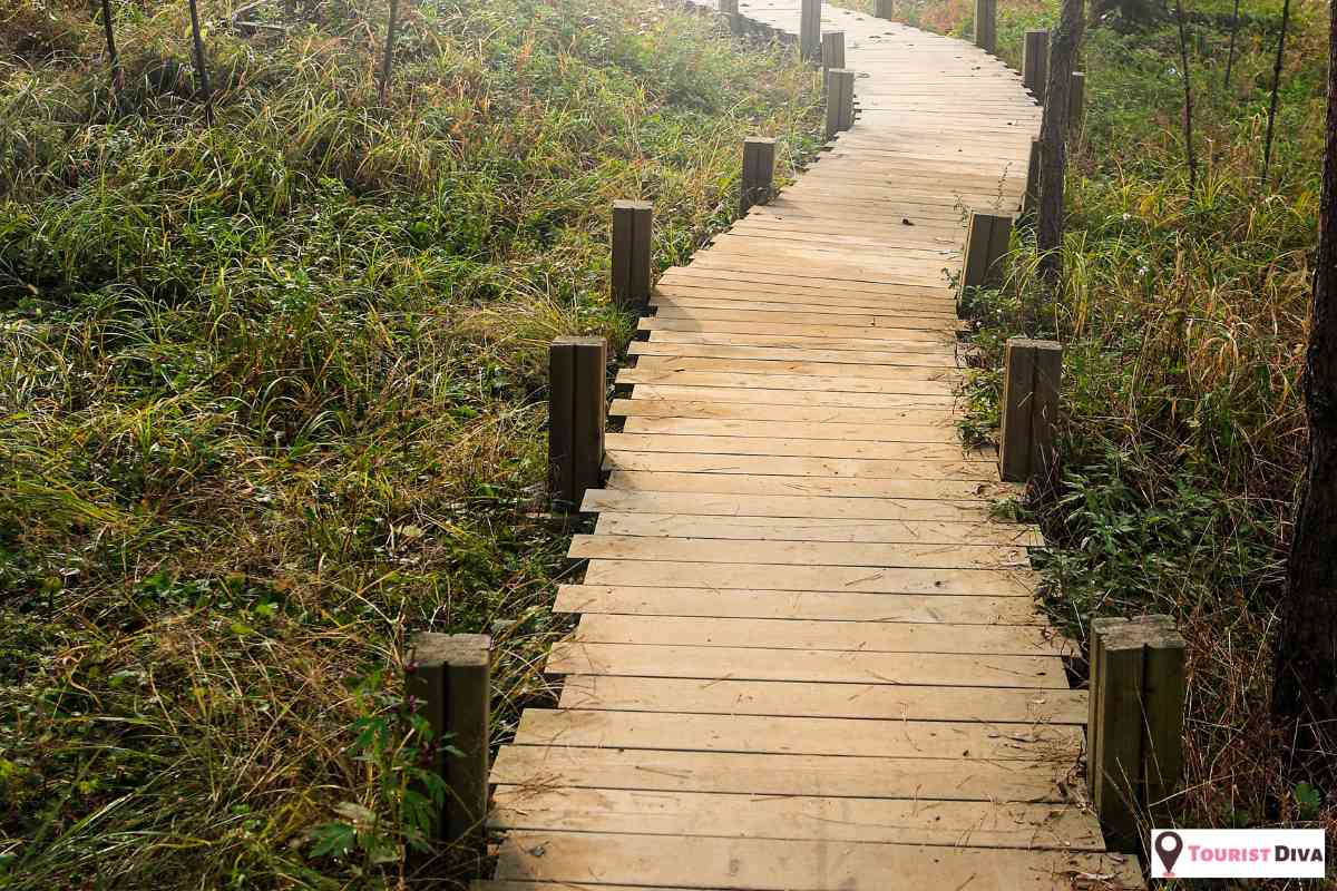 21 Best Trails In Olympic National Park (WA)