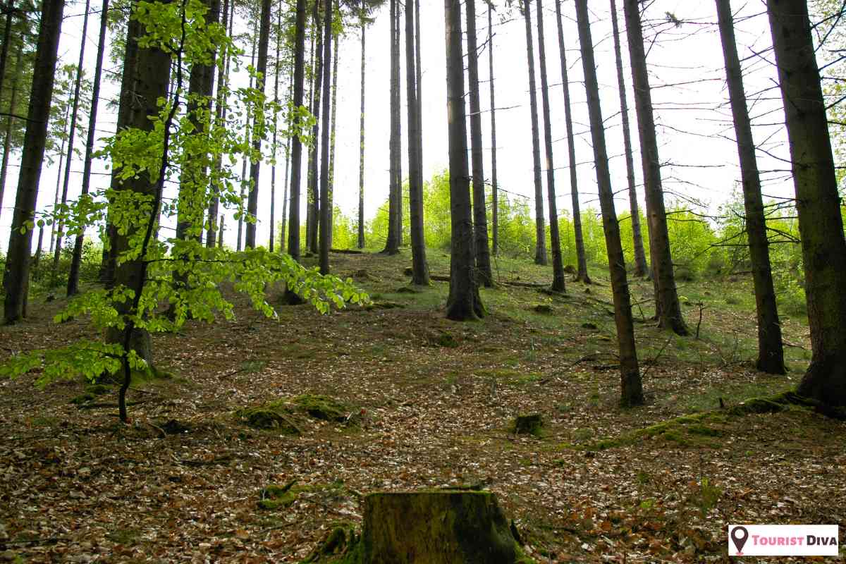 21 Fun Things To Do In Rutland (VT)