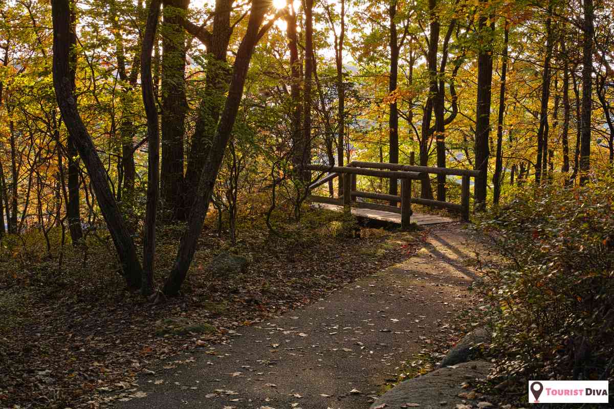 21 Fun Things To Do In Arlington (VT)